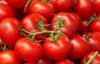 Tomaat-recepten: 20 x de lekkerste recepten met tomaten
