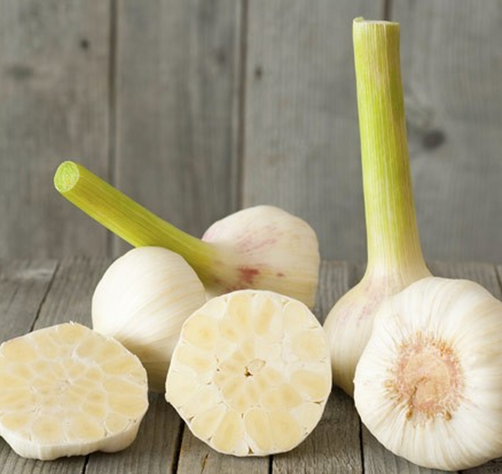 Verse of gedroogde knoflook? - 24Kitchen