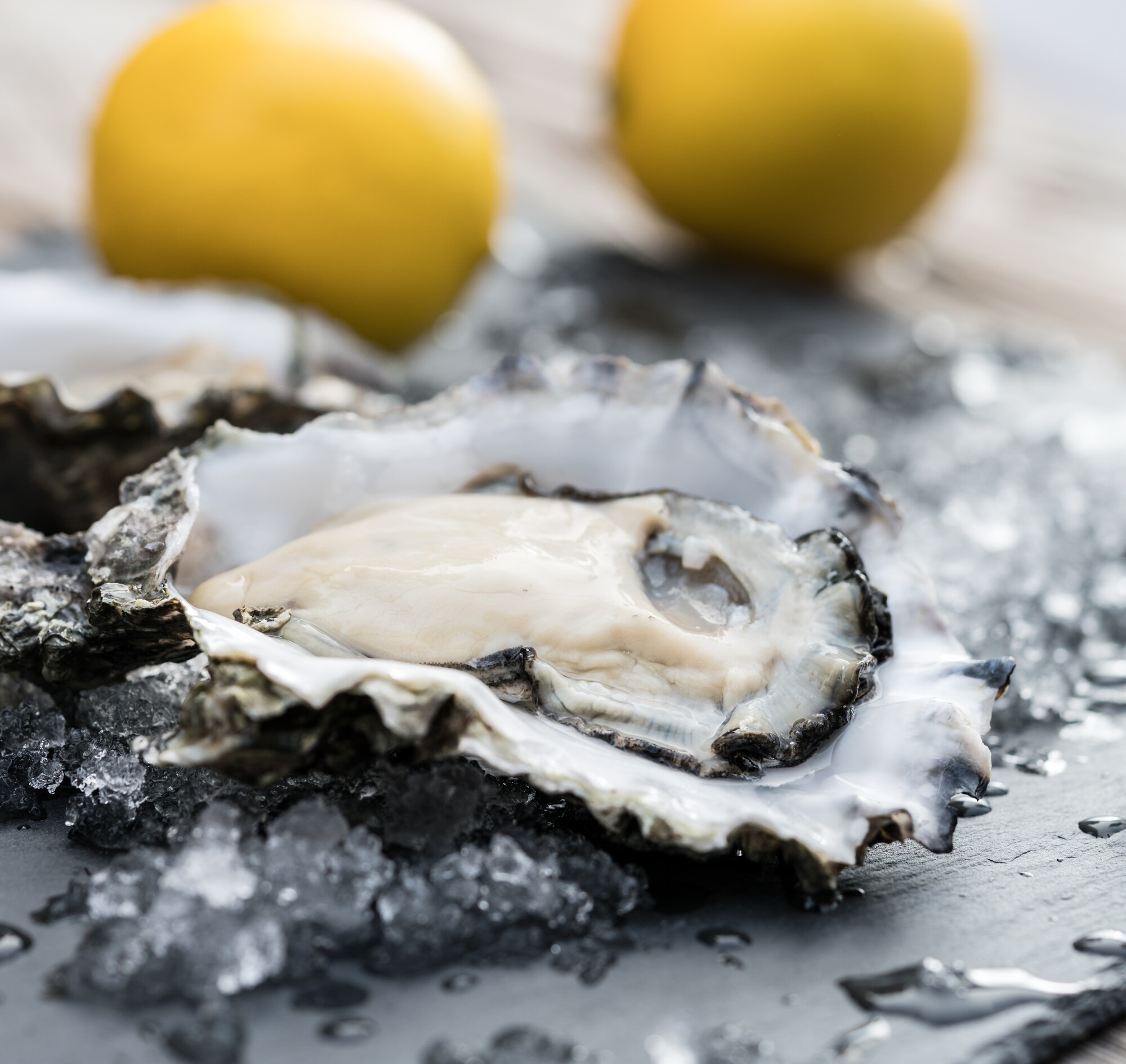Verse oesters - 24Kitchen