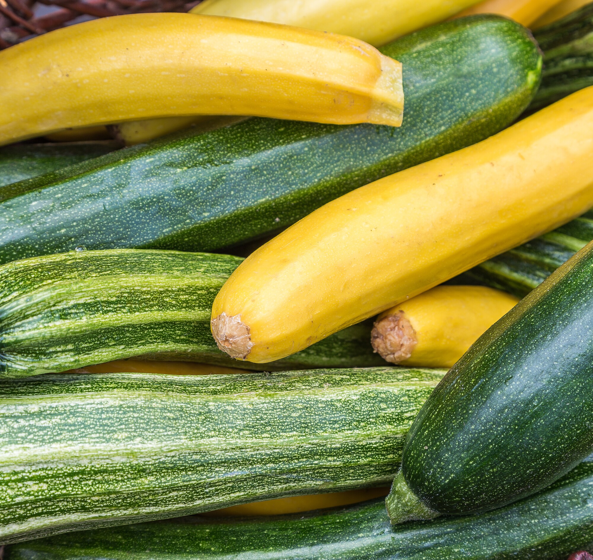 Courgettesoorten en -maten - 24Kitchen