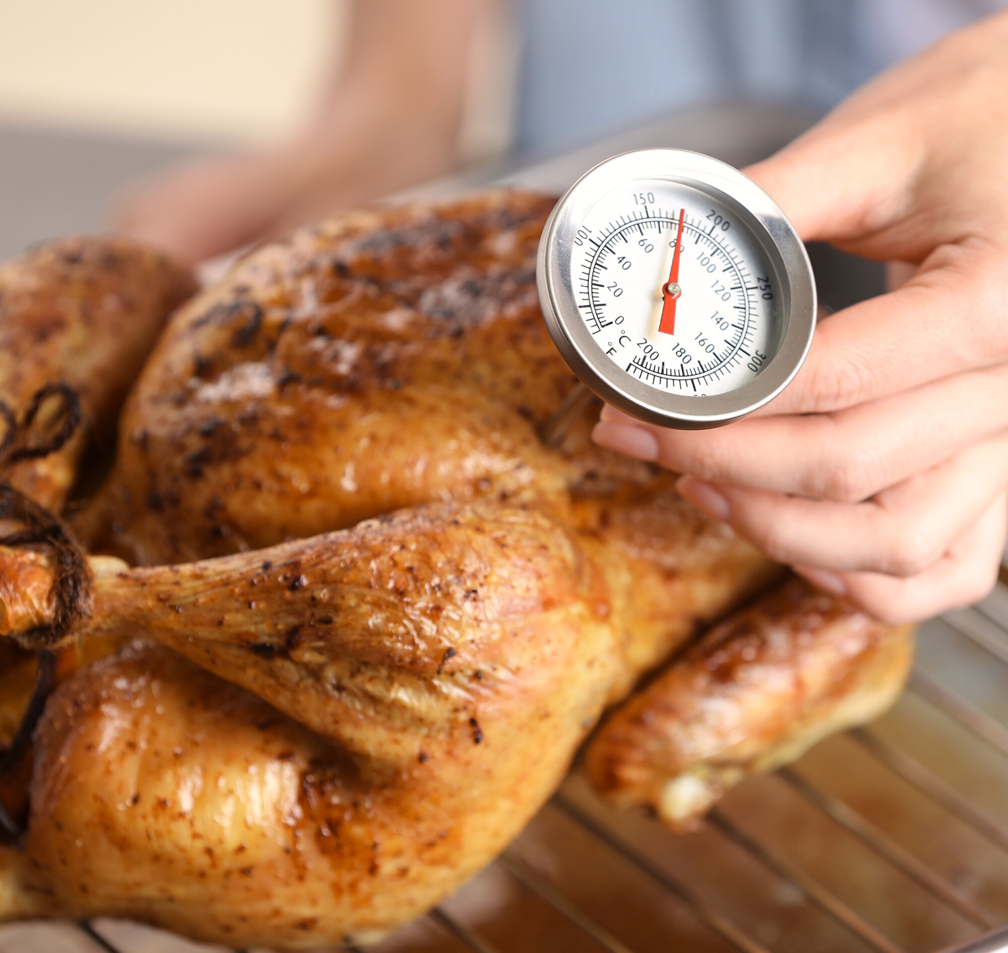 Kerntemperaturen voor vlees, vis, wild en gevogelte - 24Kitchen