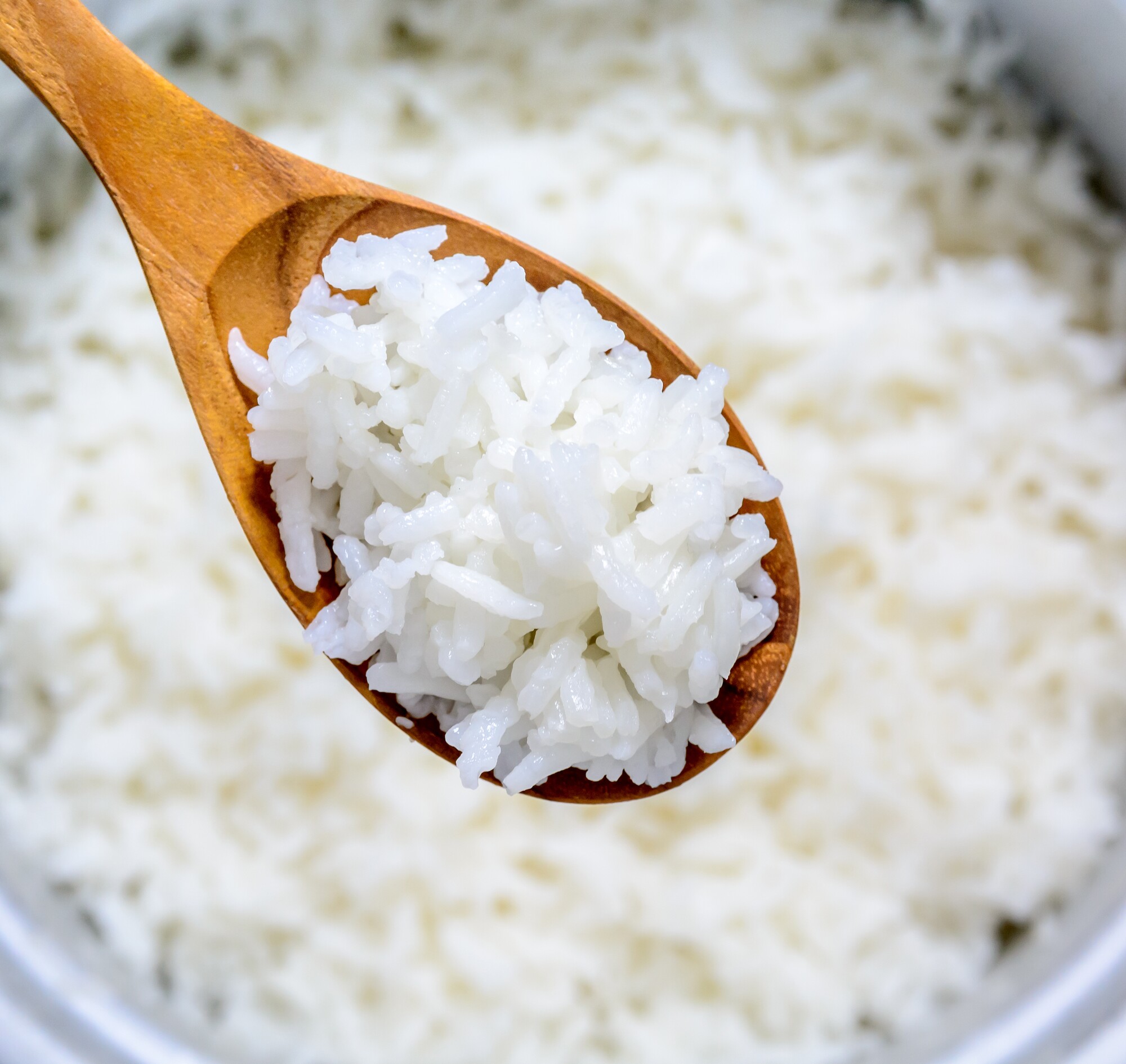 Rijst opwarmen? Let hier dan goed op - 24Kitchen