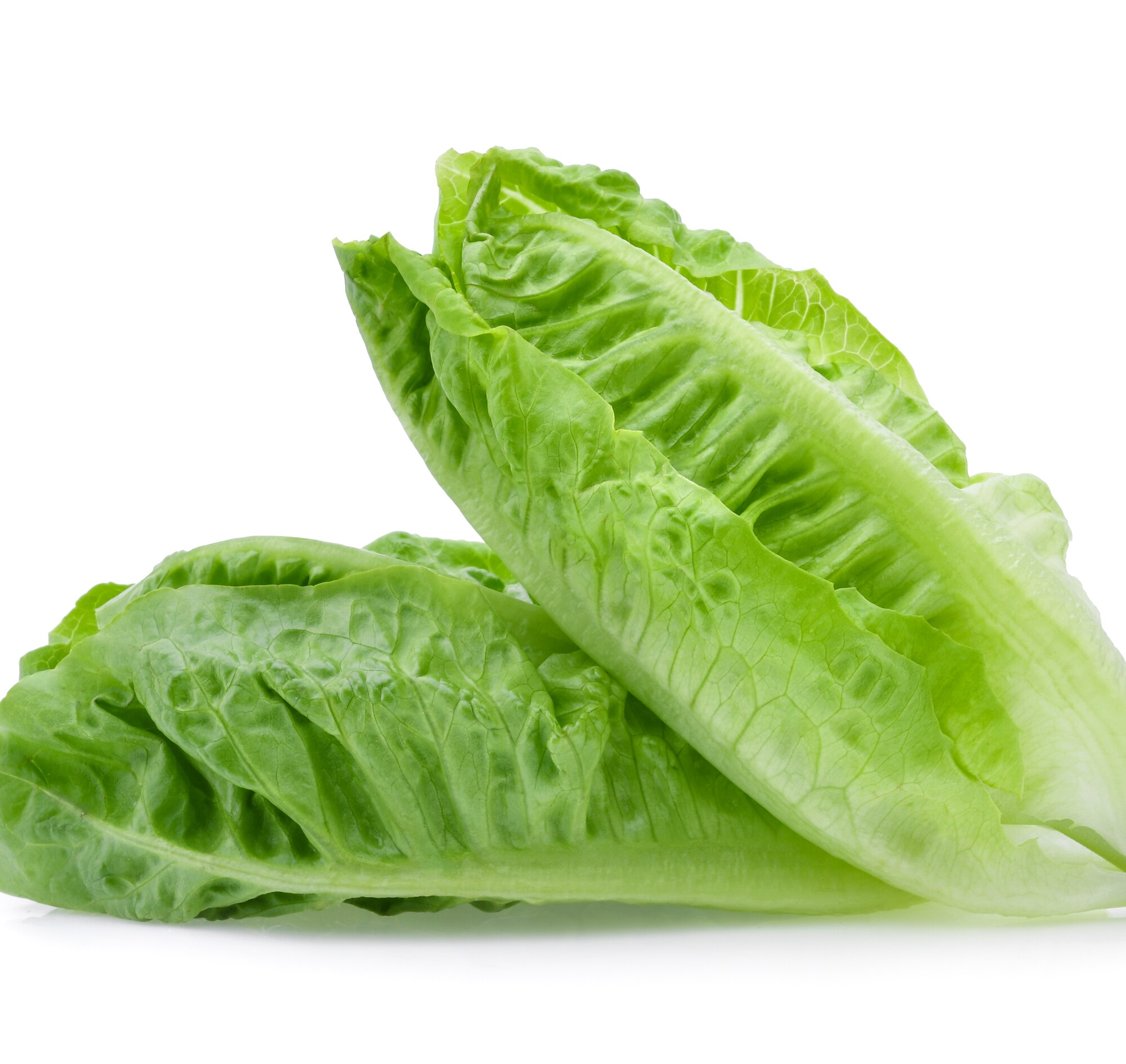 Zo laat je thuis supermakkelijk sla groeien zónder moestuin - 24Kitchen