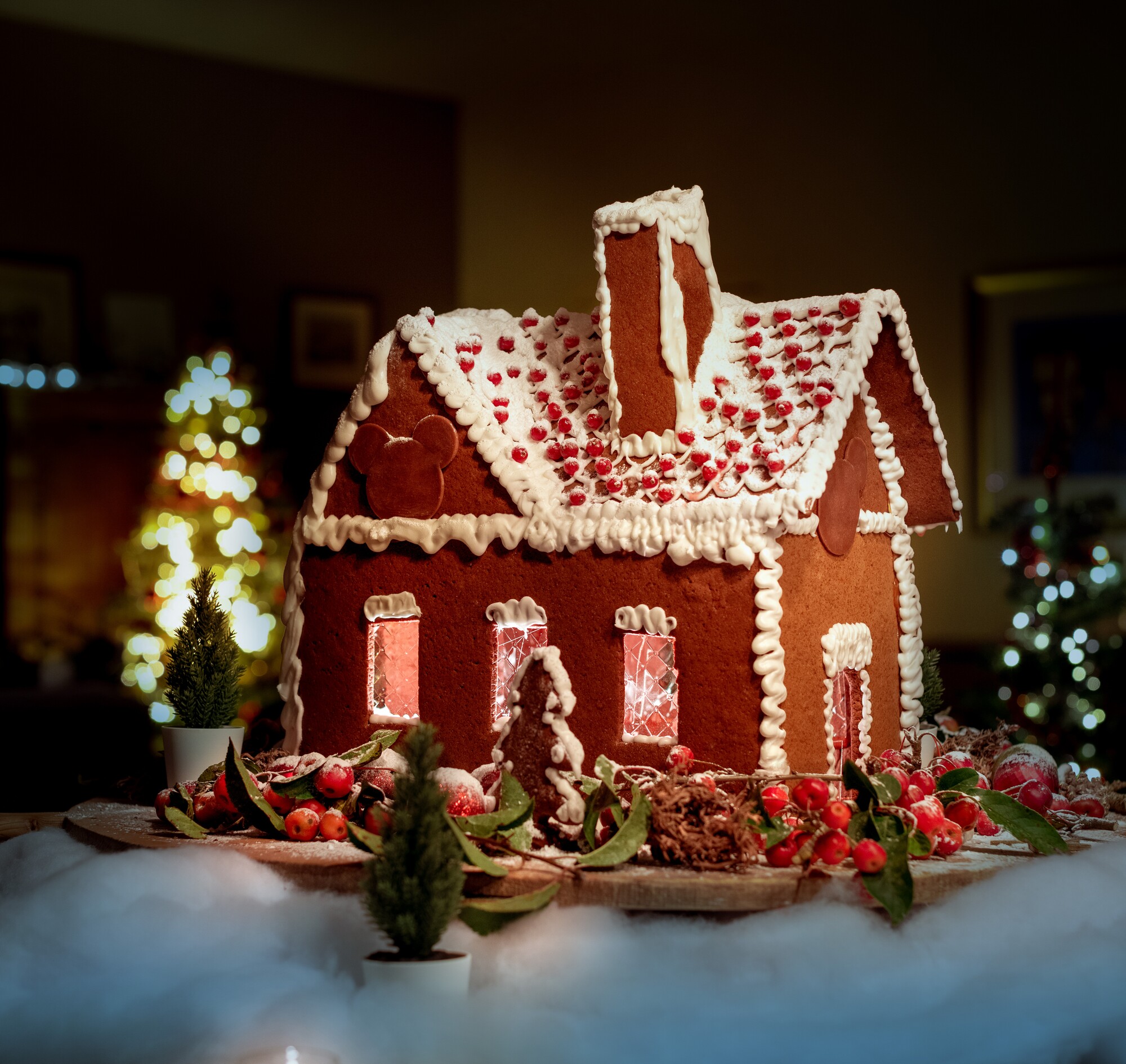 Rudolph’s gingerbread house - 24Kitchen
