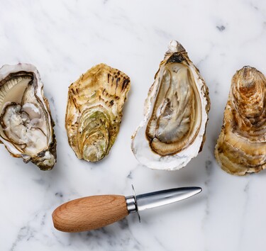 Oesters openen - 24Kitchen