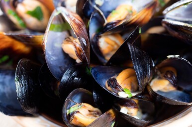 Mosselen koken? Zó maak je de lekkerste mosselen | 24Kitchen