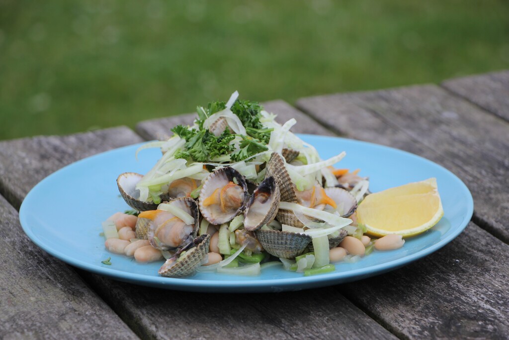 Kokkels met venkel en witte bonen recept - 24Kitchen