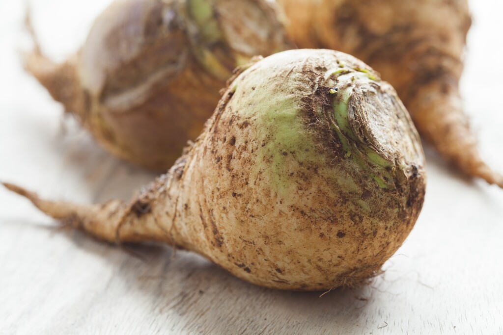 Wat is het verschil tussen koolraap en knolraap? | 24Kitchen