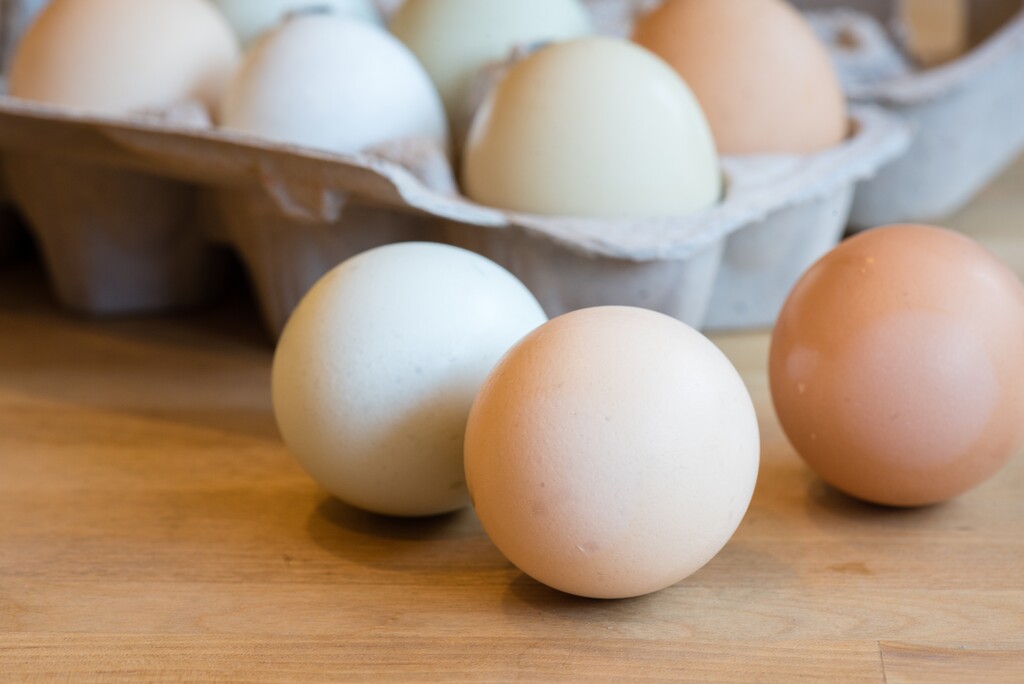 Verschillende eieren - 24Kitchen