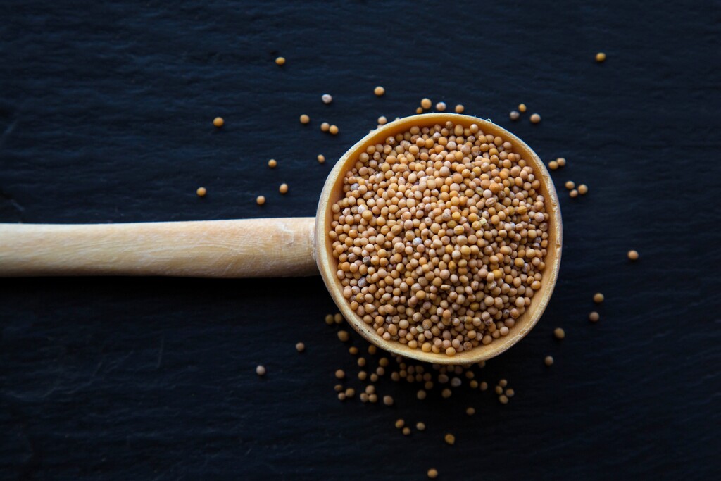 Mosterdzaad - 24Kitchen